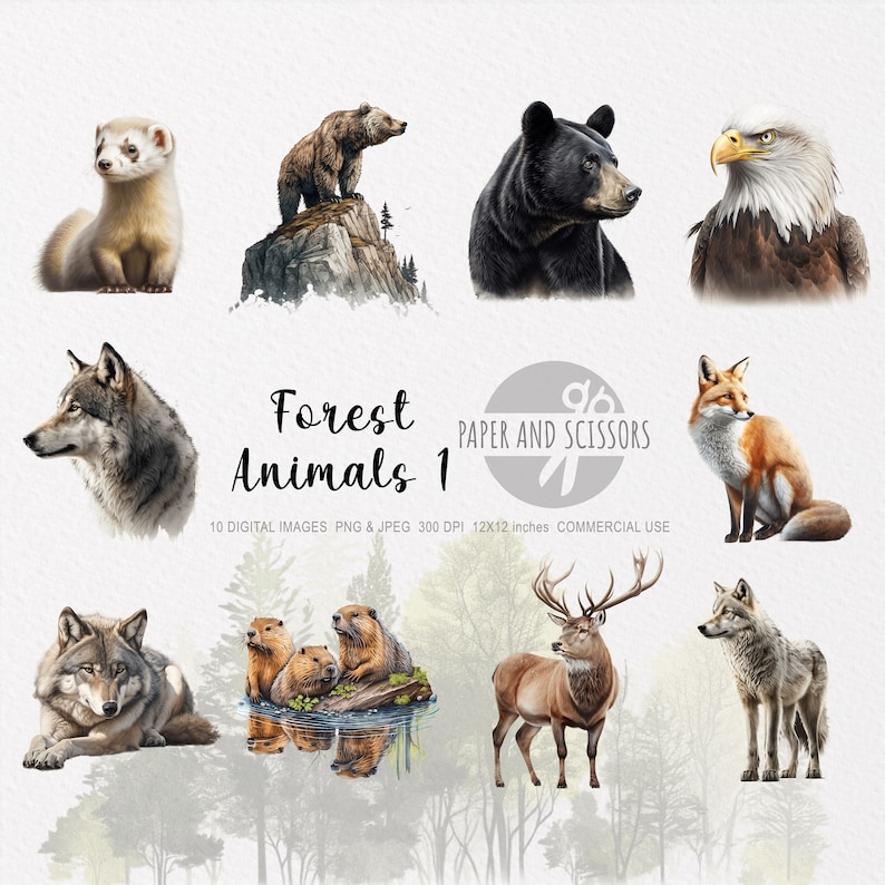 Forest Animals Clipart Forest Animals PNG Animals - Etsy