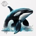 Dolphin, Shark, Orca Clipart, Sea Animals PNG, Ocean Animals ...