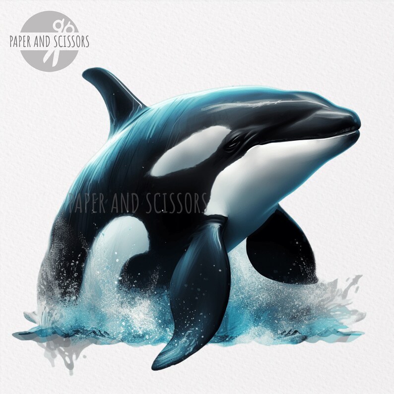 Dolphin Shark Orca Clipart Sea Animals PNG Ocean Animals - Etsy Australia