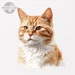 Ginger Cat Clipart, Ginger Cat PNG, Ginger Cat Illustration, Cat ...