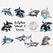 Dolphin, Shark, Orca Clipart, Sea Animals PNG, Ocean Animals ...