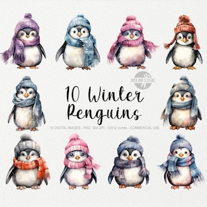 10 Winter Penguins Clipart, Cute Penguin PNG, Watercolor Penguin ...