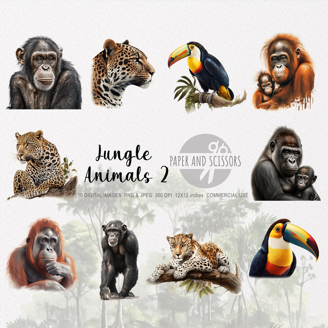 Jungle Animals Clipart Jungle Animals PNG Animals - Etsy