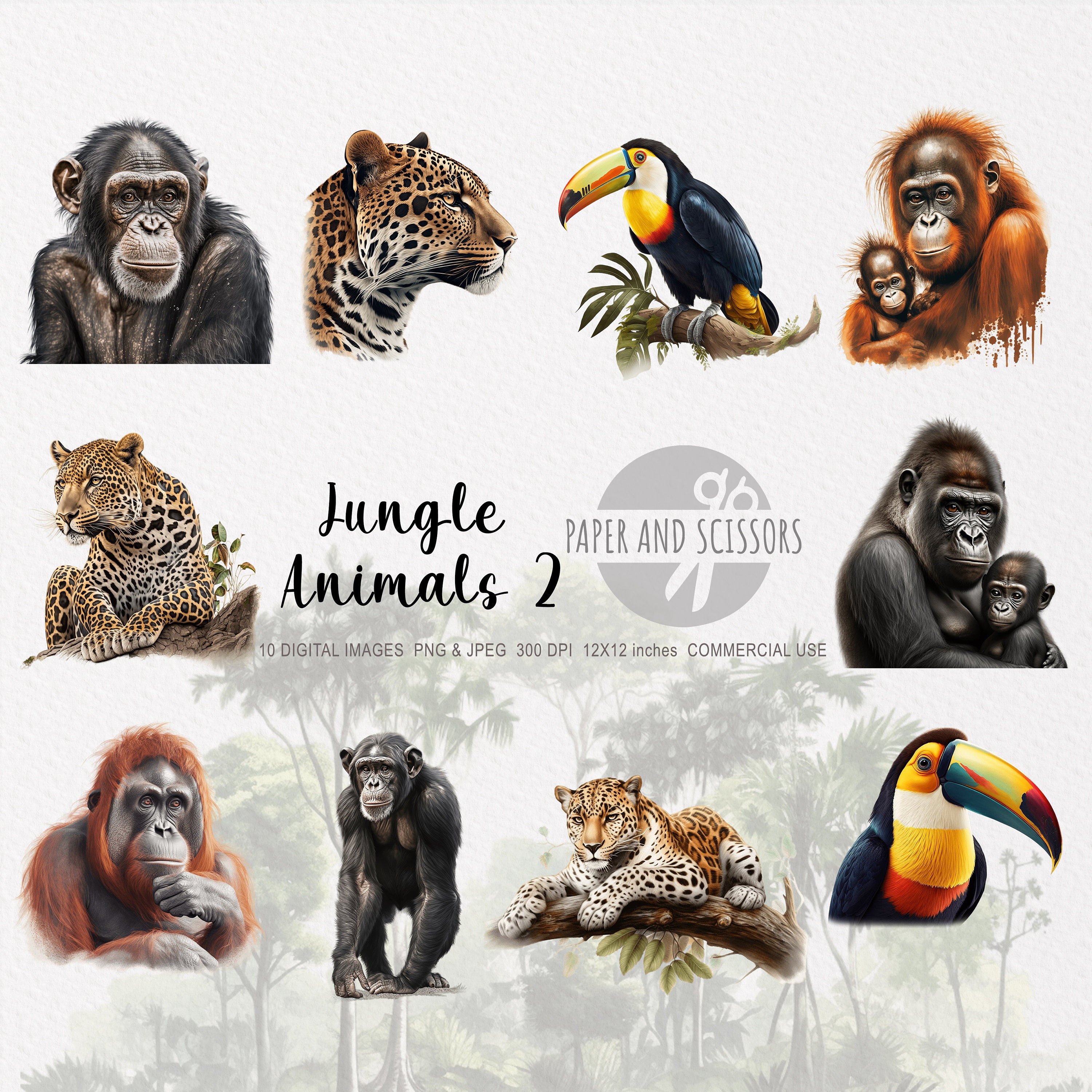 Jungle Animals Clipart Jungle Animals PNG Animals - Etsy