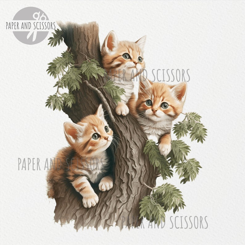 Little Kittens Clipart Kitten PNG Cat Illustration Cat - Etsy