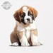 Saint Bernard Clipart, St. Bernard PNG, Saint Bernard Illustration ...