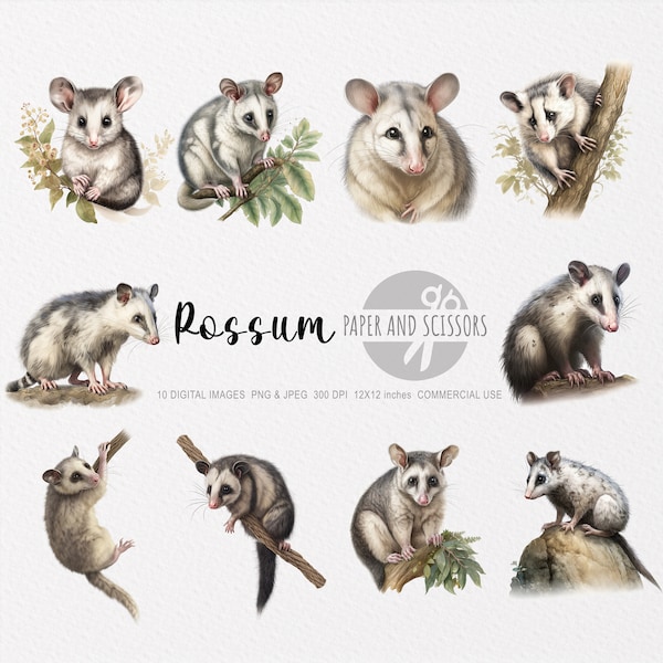 Possum Magic - Etsy Australia