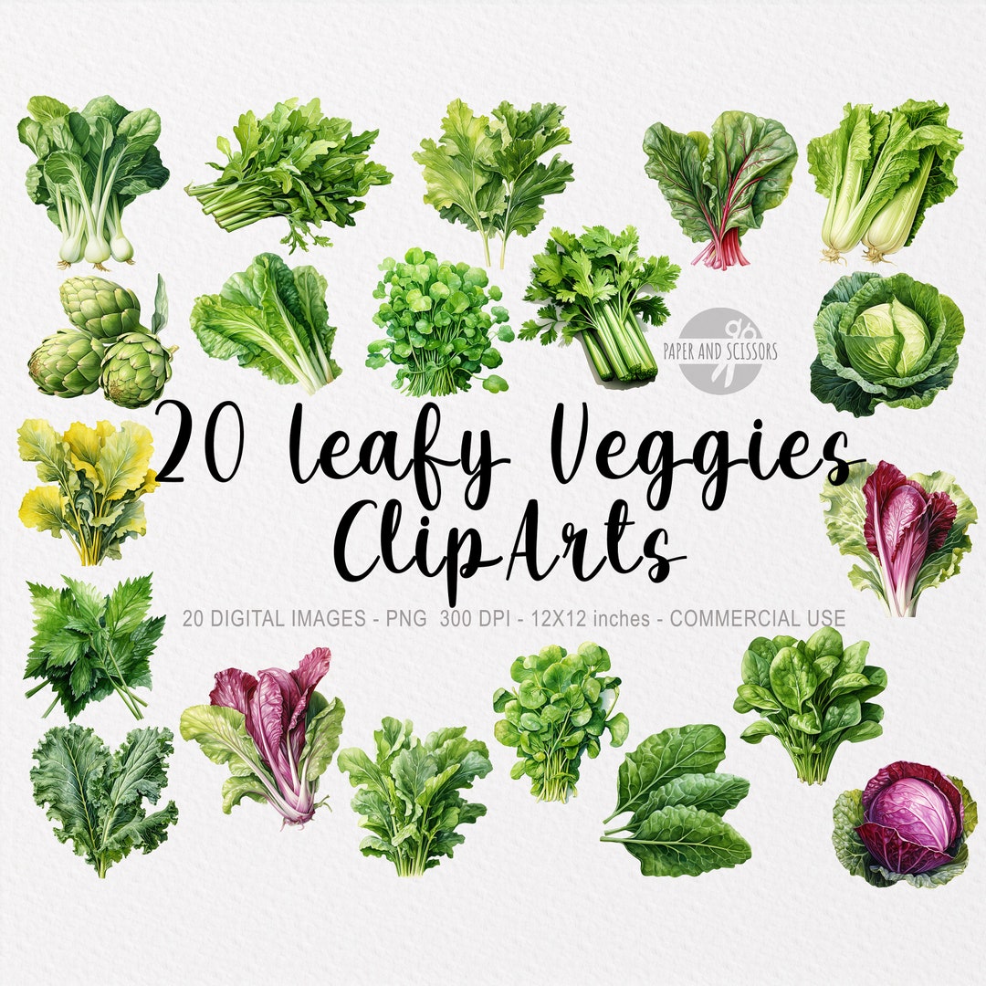 20 Leafy Vegetables Clipart, Vegetables PNG, Vegetables Illustration ...