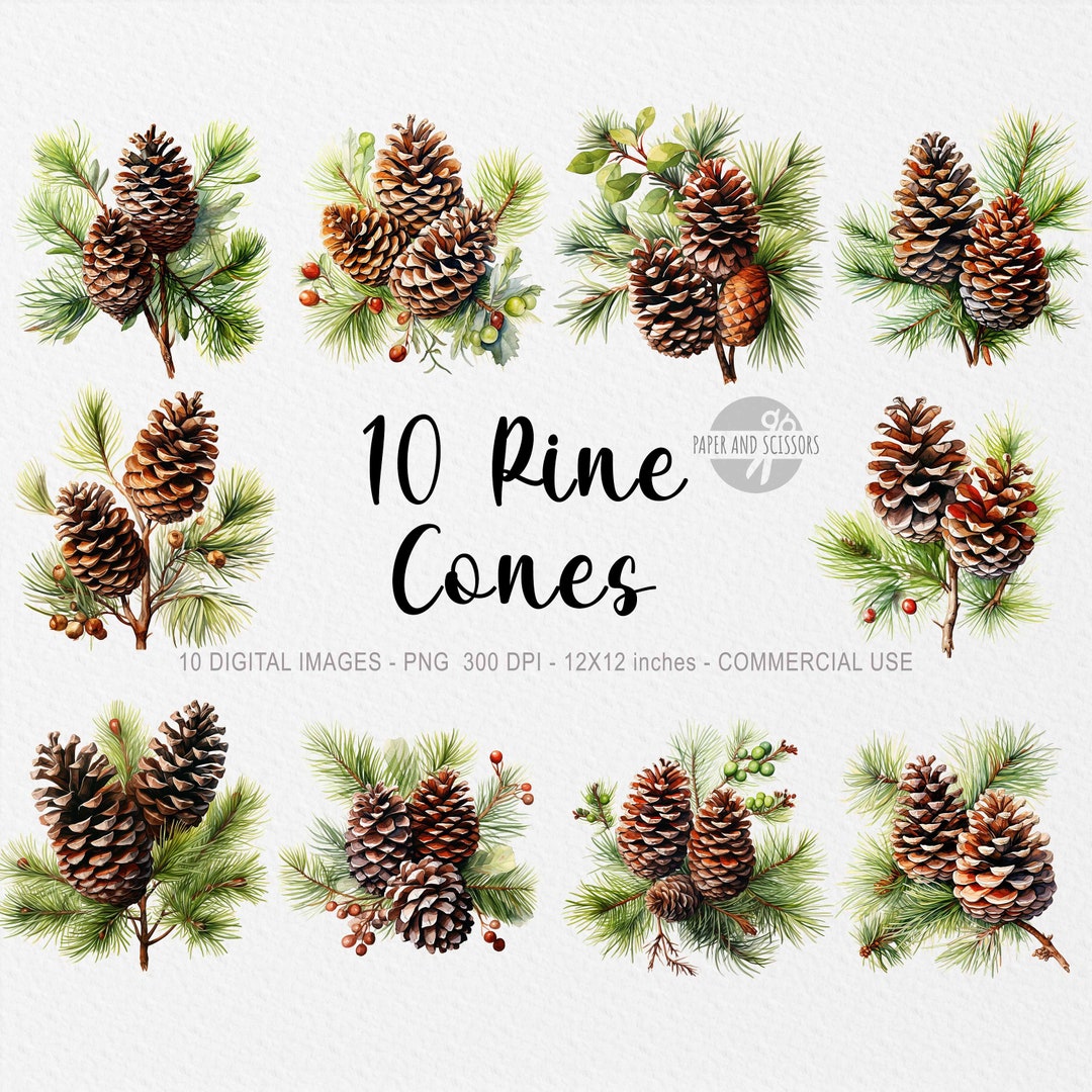 10 Christmas Pine Cones Clipart, Watercolor Christmas Pine Cones PNG ...
