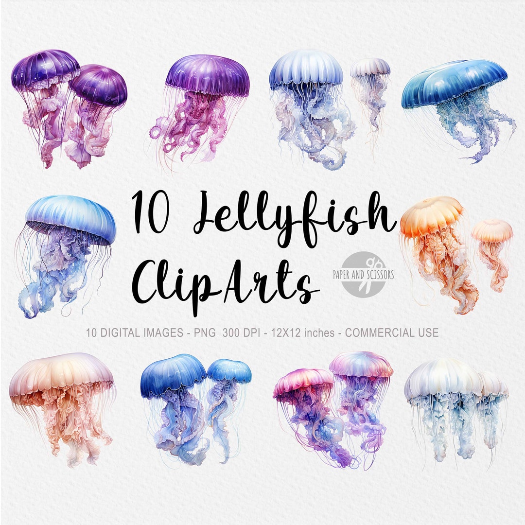 10 Jellyfish Cliparts, Jellyfish PNG, Summer Illustration, Watercolor ...