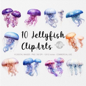10 Jellyfish Cliparts, Jellyfish PNG, Summer Illustration, Watercolor ...