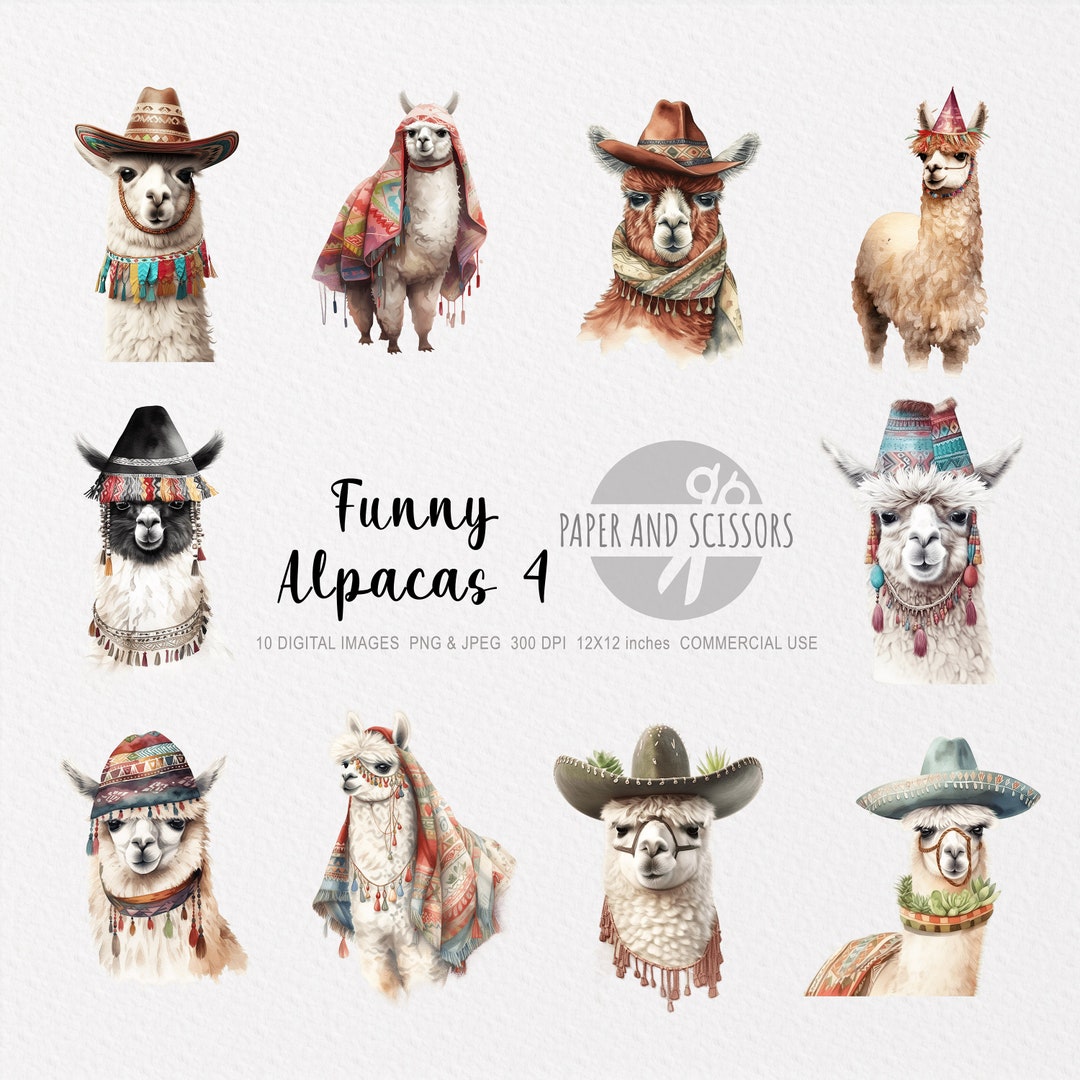 Funny Alpaca Clipart, Alpaca PNG, Alpaca Illustration, Alpaca Art ...
