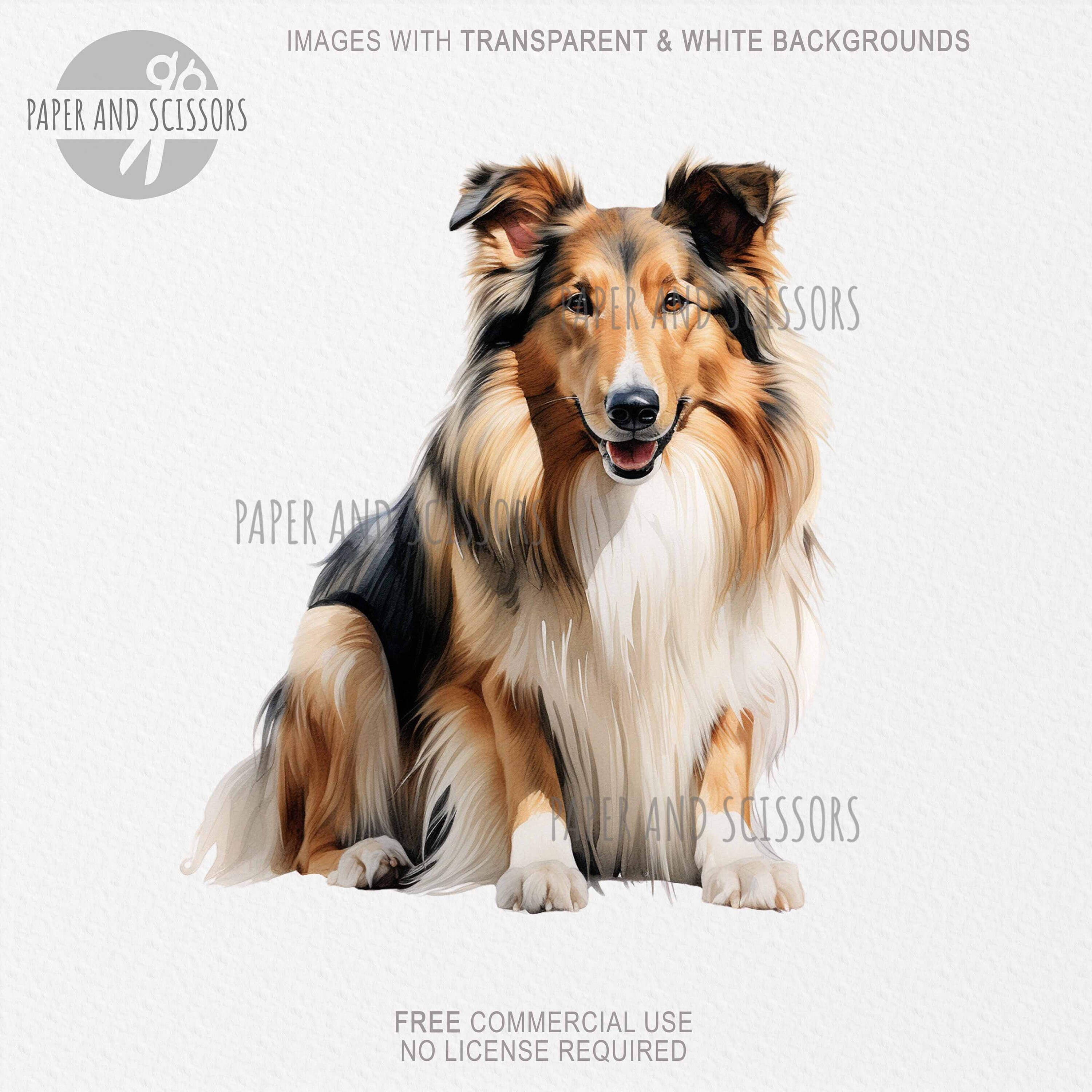 Rough Collie Clipart, Rough Collie PNG, Rough Collie Illustration, Dog ...