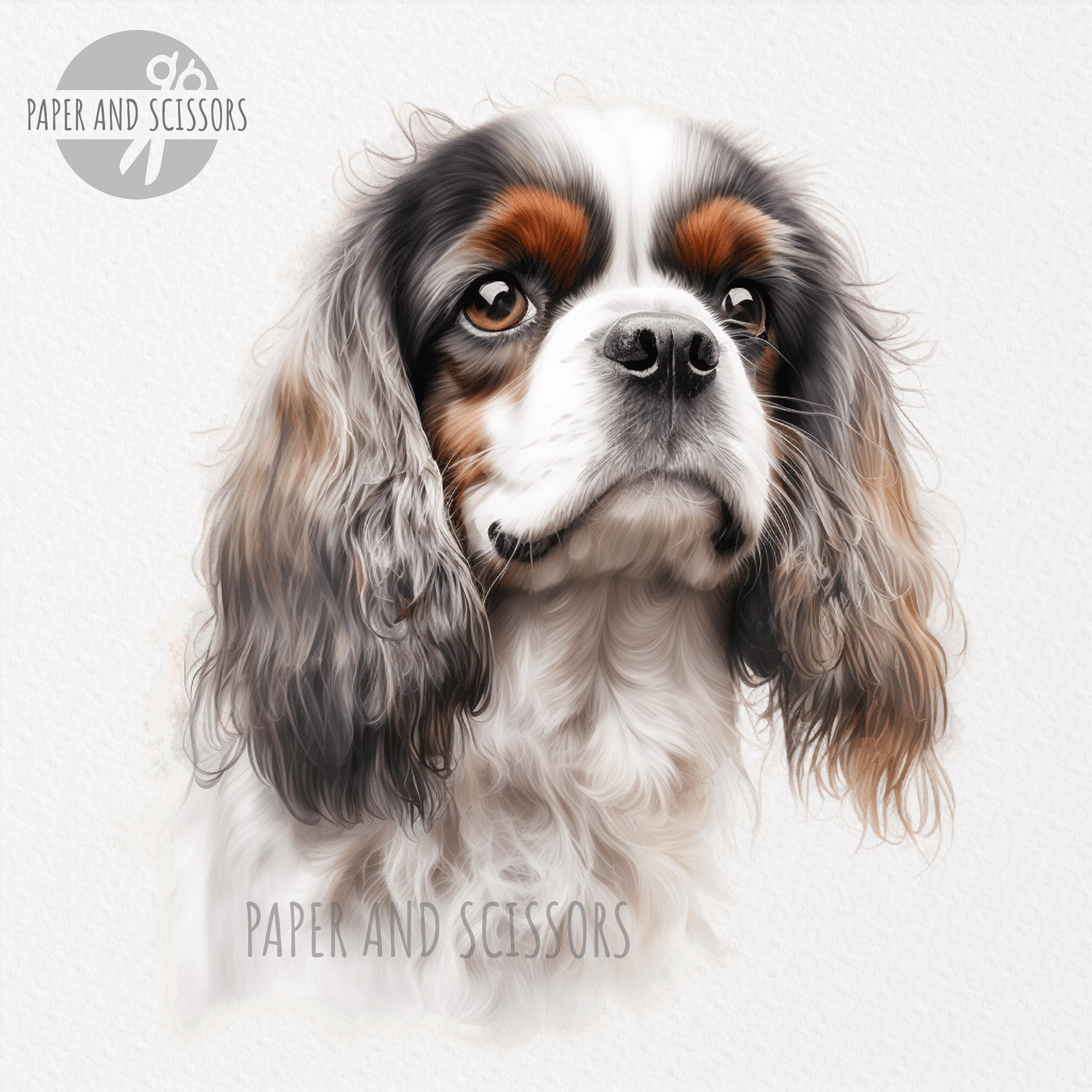 Cavalier King Charles Spaniel Clip Art, Dog PNG, Dog Illustration ...