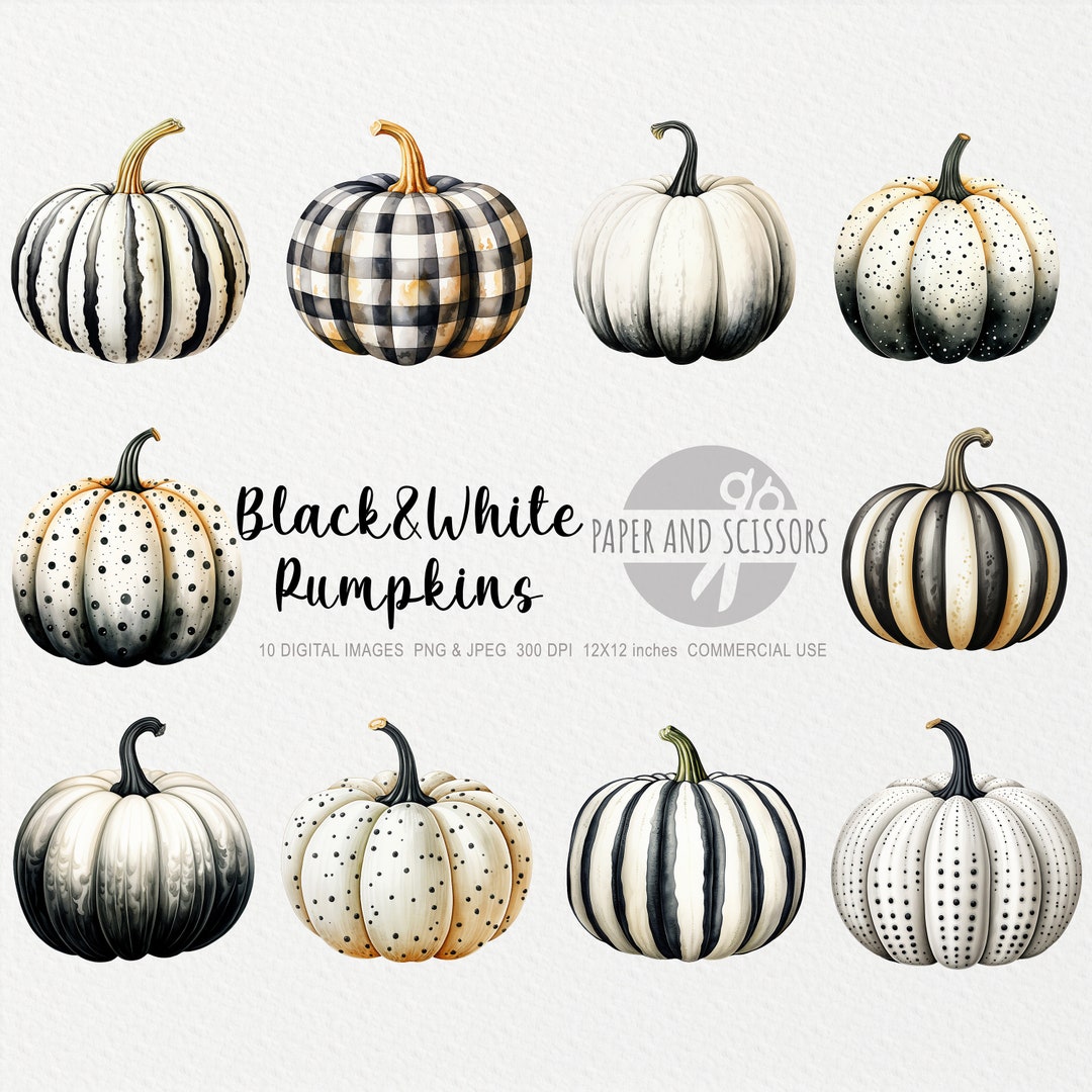 Black and White Pumpkin Clipart, Pumpkin PNG, Watercolor Pumpkin ...