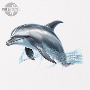 Dolphin, Shark, Orca Clipart, Sea Animals PNG, Ocean Animals ...
