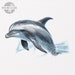 Dolphin, Shark, Orca Clipart, Sea Animals PNG, Ocean Animals ...