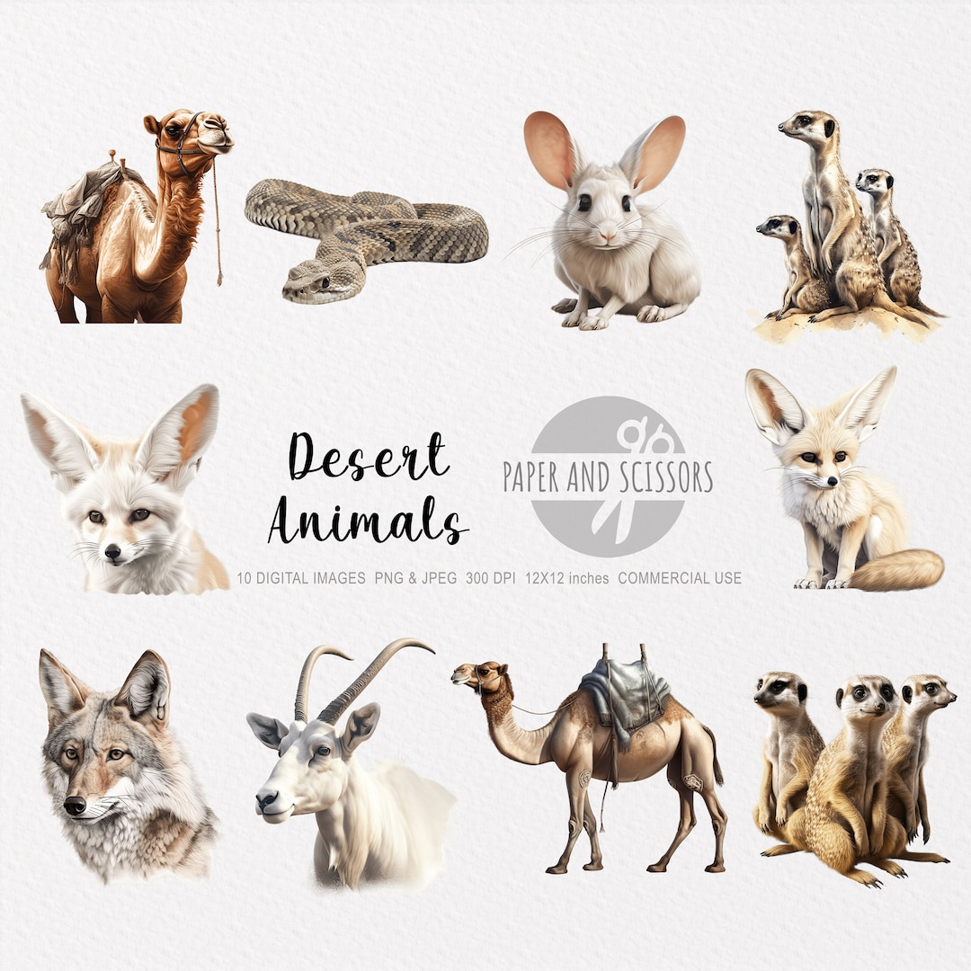 Desert Animals Clipart, Desert Animals PNG, Desert Illustration ...