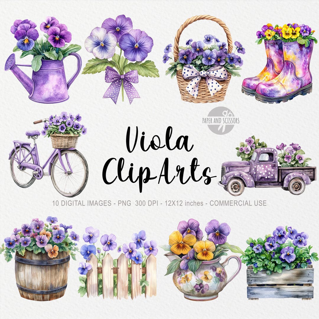 10 Viola Clipart, Flower PNG, Spring Illustration, Watercolor Boho ...