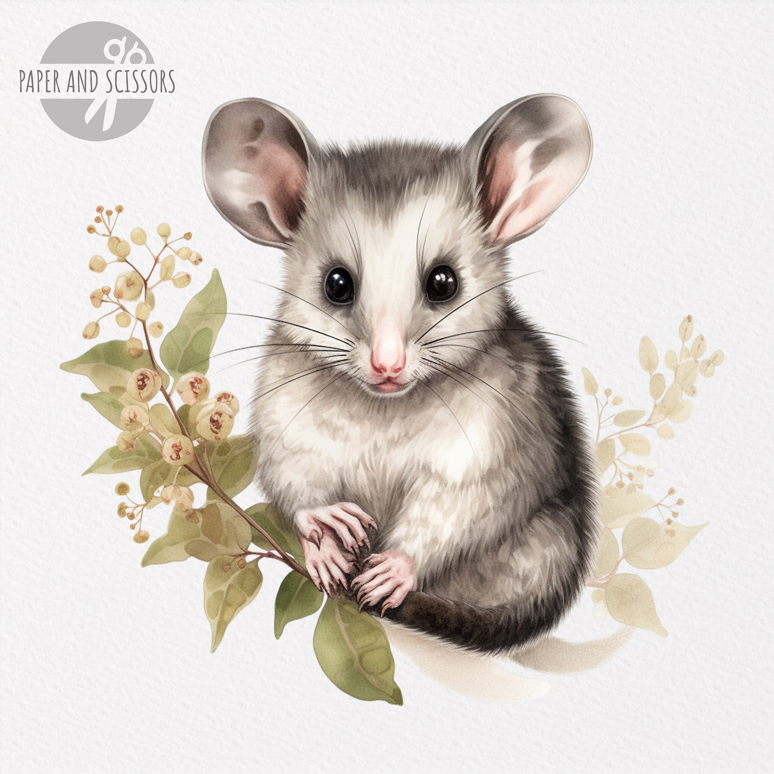 Possum Clipart, Possum PNG, Possum Illustration, Possum Watercolor ...