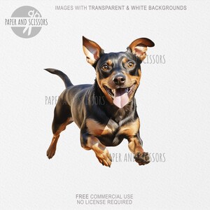 Pinscher Clipart, Pinscher PNG, Pinscher Illustration, Dog Clipart ...