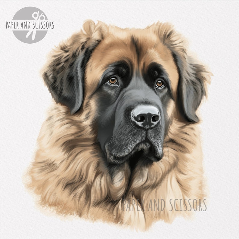 Leonberger Clipart, Leonberger PNG, Leonberger Illustration, Dog ...