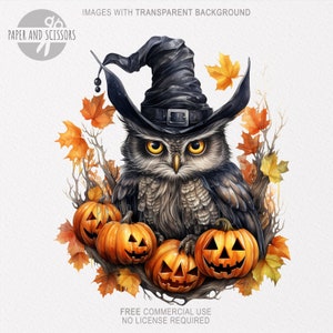 10 Halloween Owl Clipart, Watercolor Halloween Owl PNG, Halloween ...