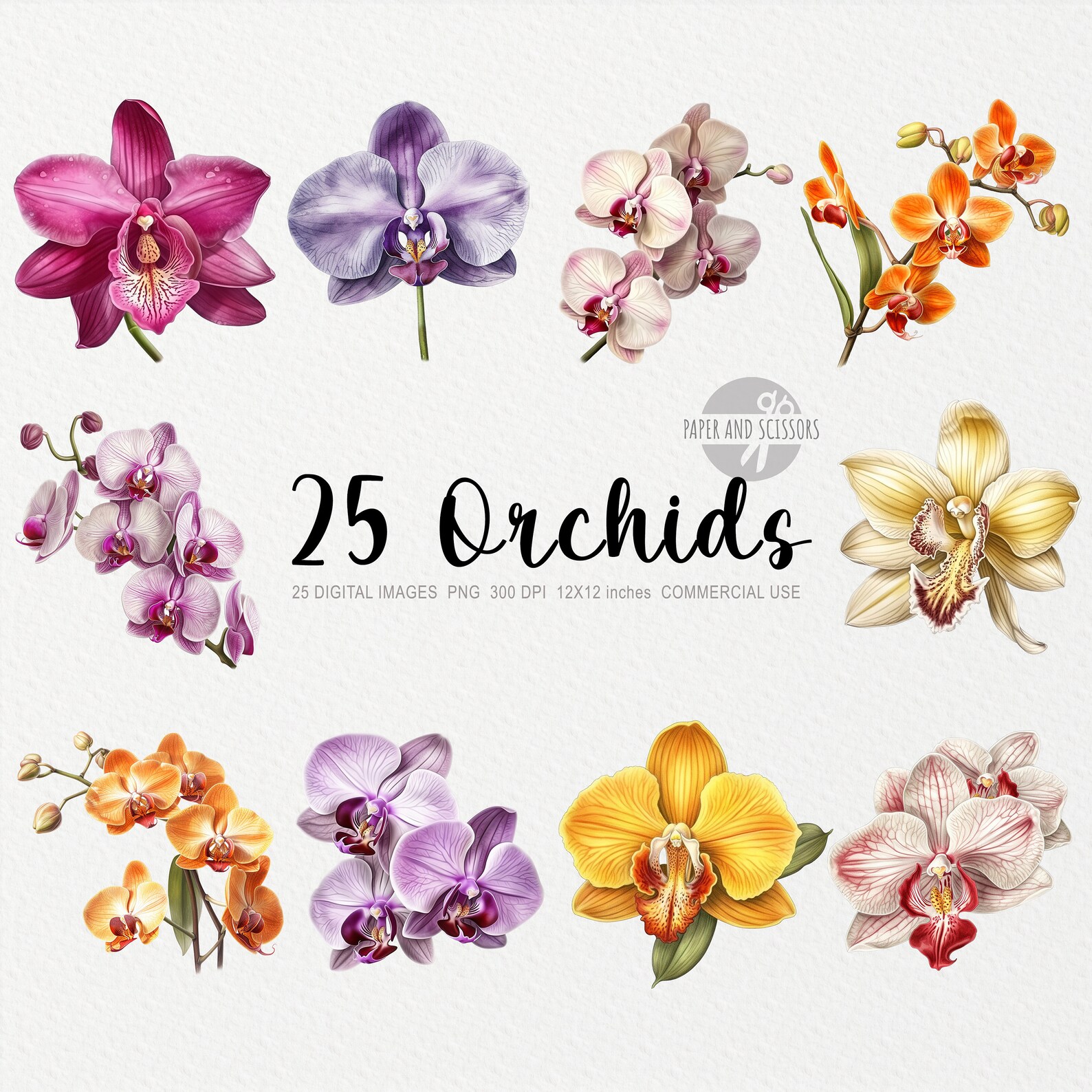 25 Orchid Clipart, Orchid PNG, Orchid Illustration, Watercolor Flowers ...