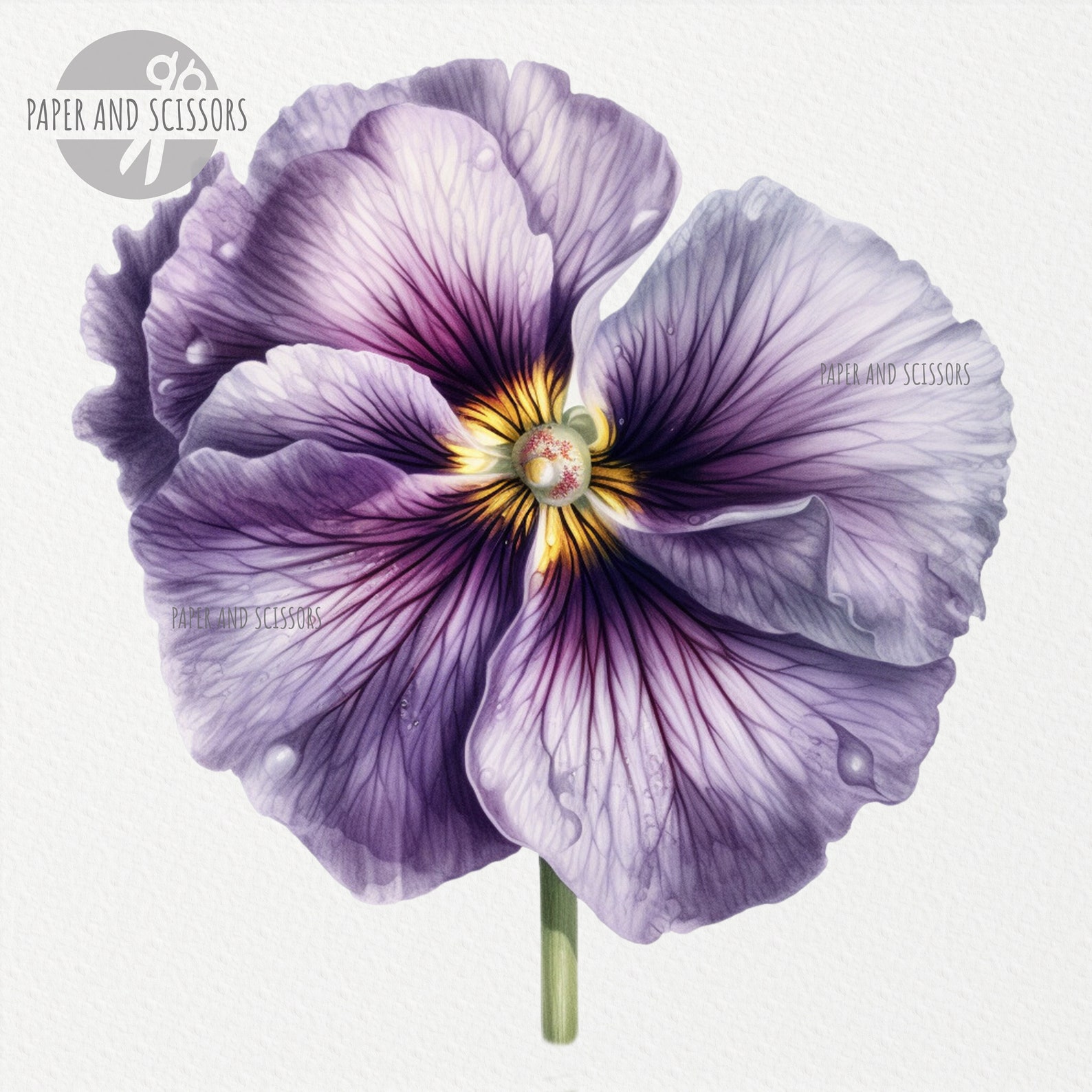 20 Viola Flower Clipart, Viola Odorata PNG, Violet Flower Illustration ...