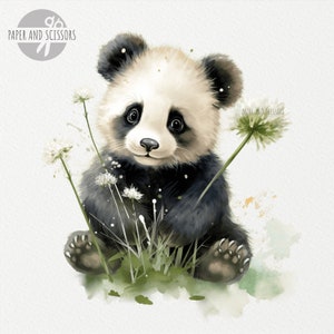 Baby Panda Watercolor Clipart, Baby Panda PNG, Panda Illustration ...