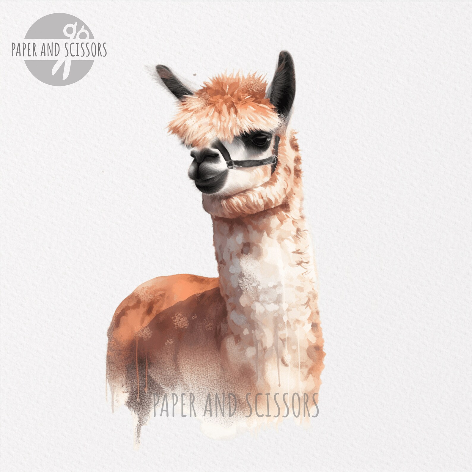 Alpaca and Lama Clipart, Alpaca PNG, Lama Illustration, Alpaca Art ...