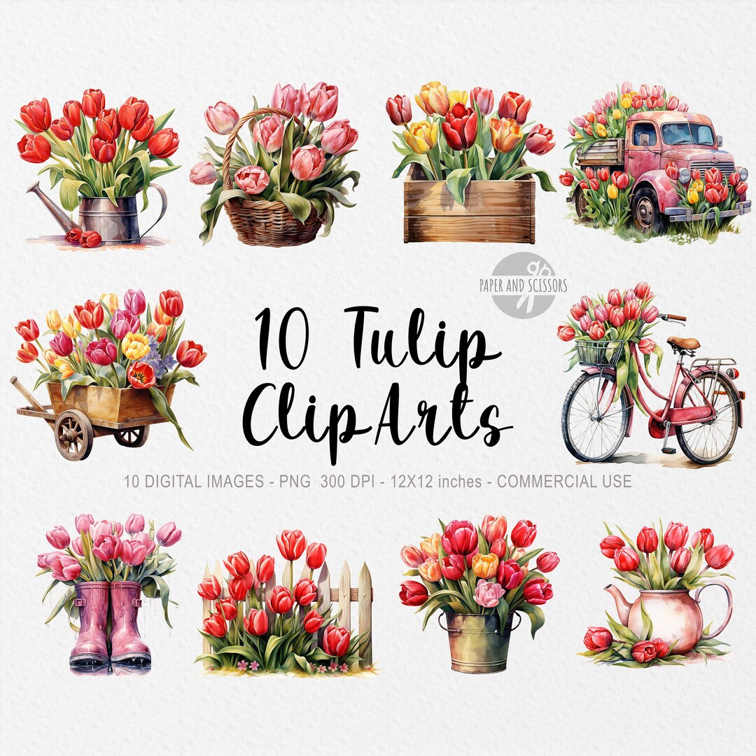 10 Tulips Clipart, Tulips PNG, Tulips Illustration, Watercolor Flowers ...