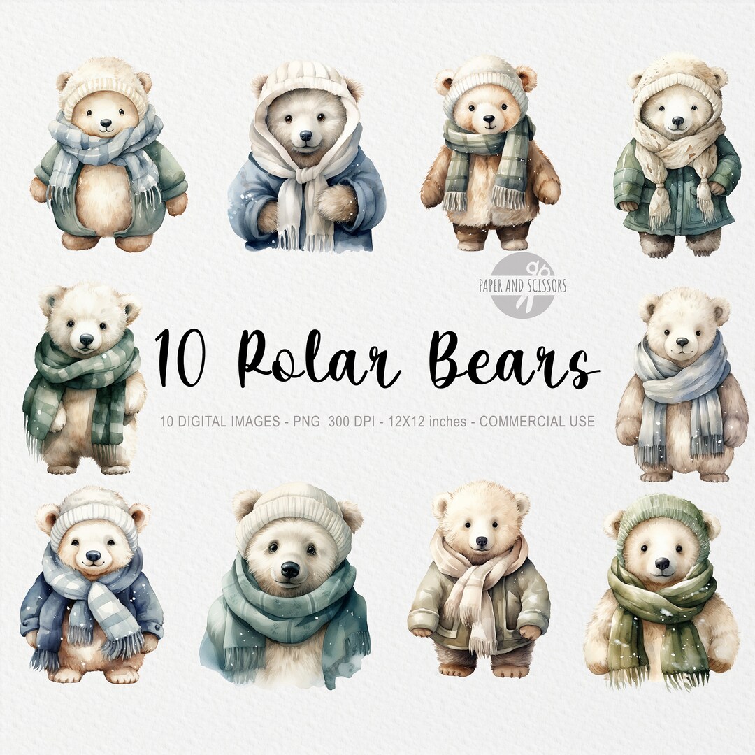 10 Polar Bear Clipart, Polar Bear PNG, Watercolor Bear Illustration ...