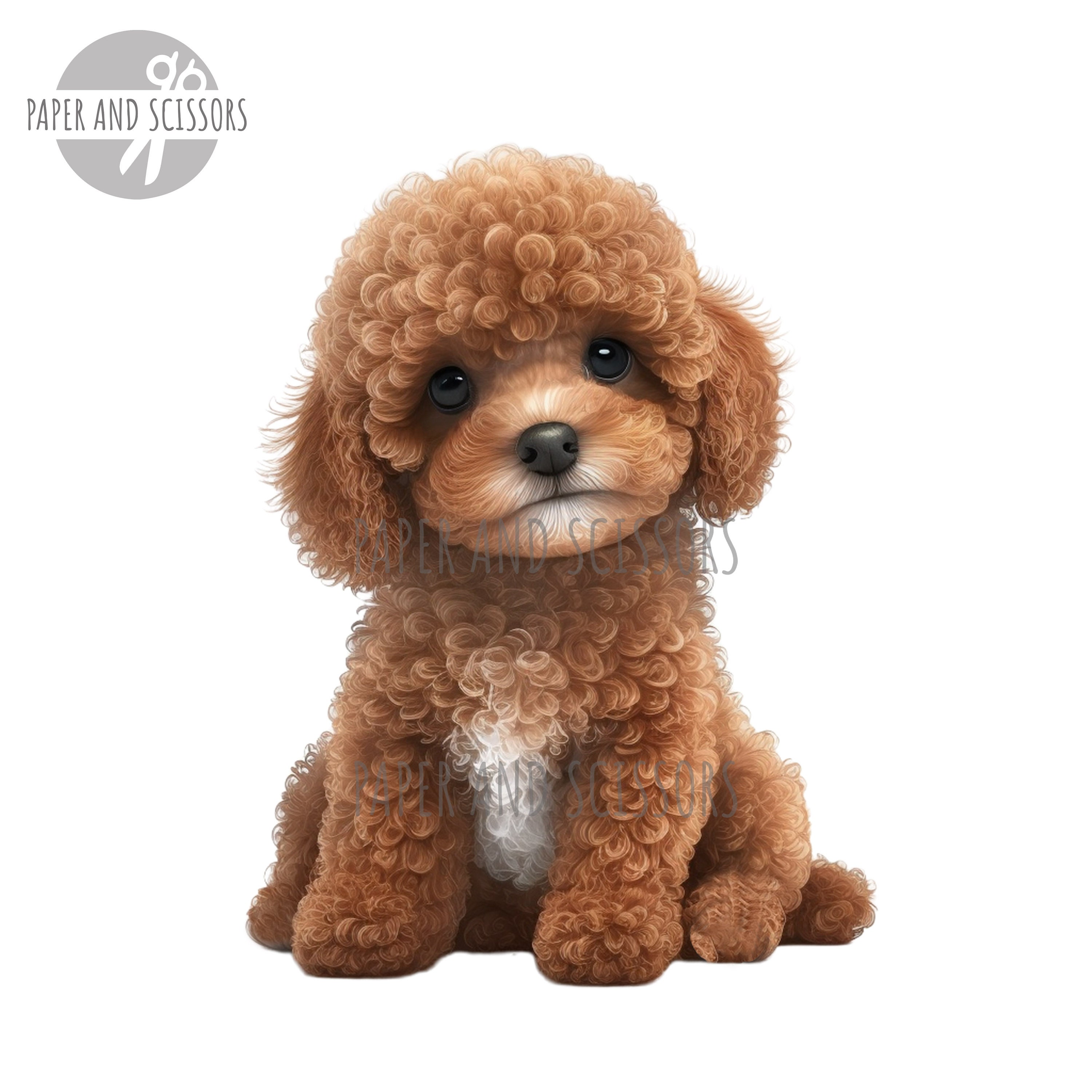 Toy Poodle Clipart Poodle PNG Poodle Illustration Dog - Etsy UK