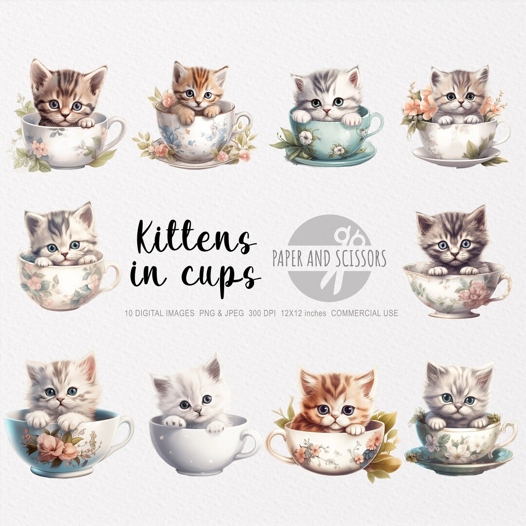 Kittens in Cups Clipart, Kittens PNG, Kittens Illustration, Cat Clipart ...