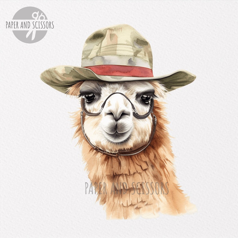 Funny Alpaca Clipart Alpaca PNG Alpaca Illustration Alpaca - Etsy