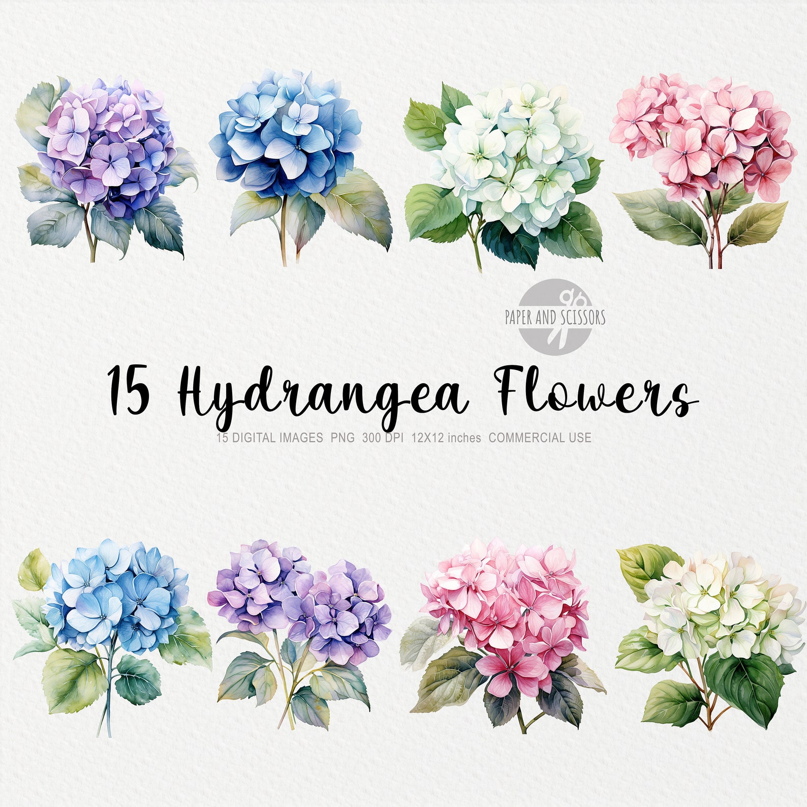 15 Hydrangea Flowers Clipart, Hydrangea PNG, Hydrangea Illustration ...