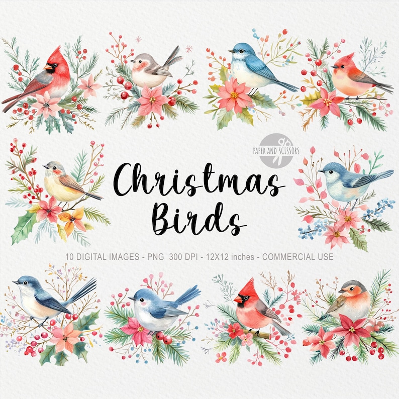 10 Christmas Birds PNG, Coquette Christmas Clipart, Red Cardinal Png ...
