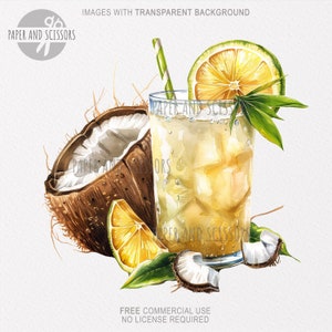 20 Fruit Cocktail Clipart, Tropical PNG, Cocktail Illustration ...