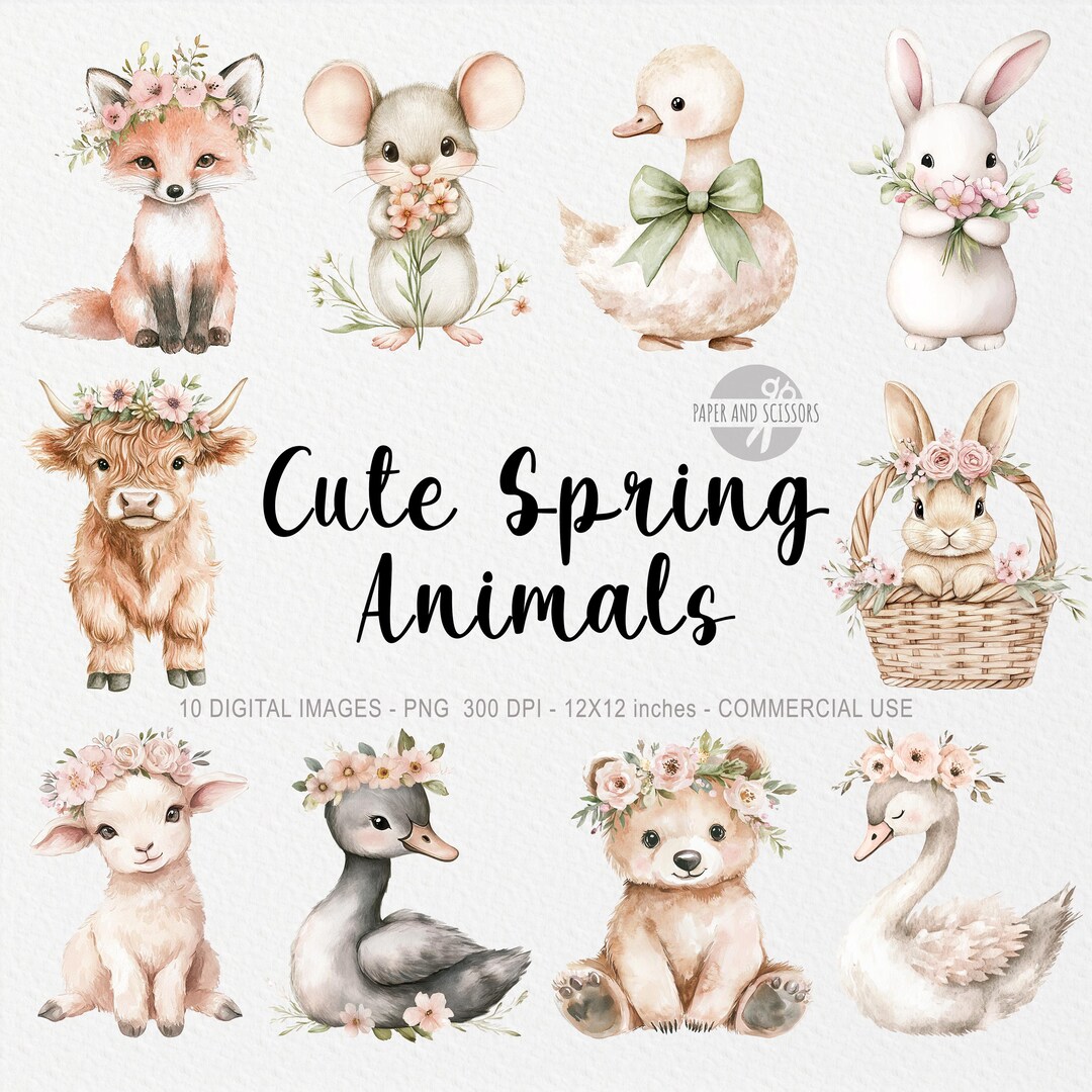 10 Cute Spring Animal Clipart, Woodland PNG, Easter Nursery, Baby ...
