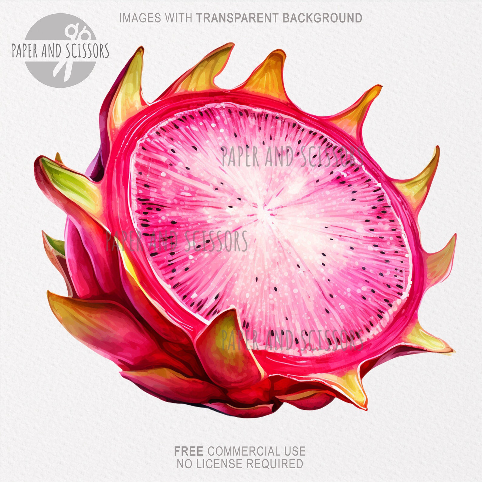 25 Fruit Slices Clipart, Fruit PNG, Fruit Illustration, Watercolor ...