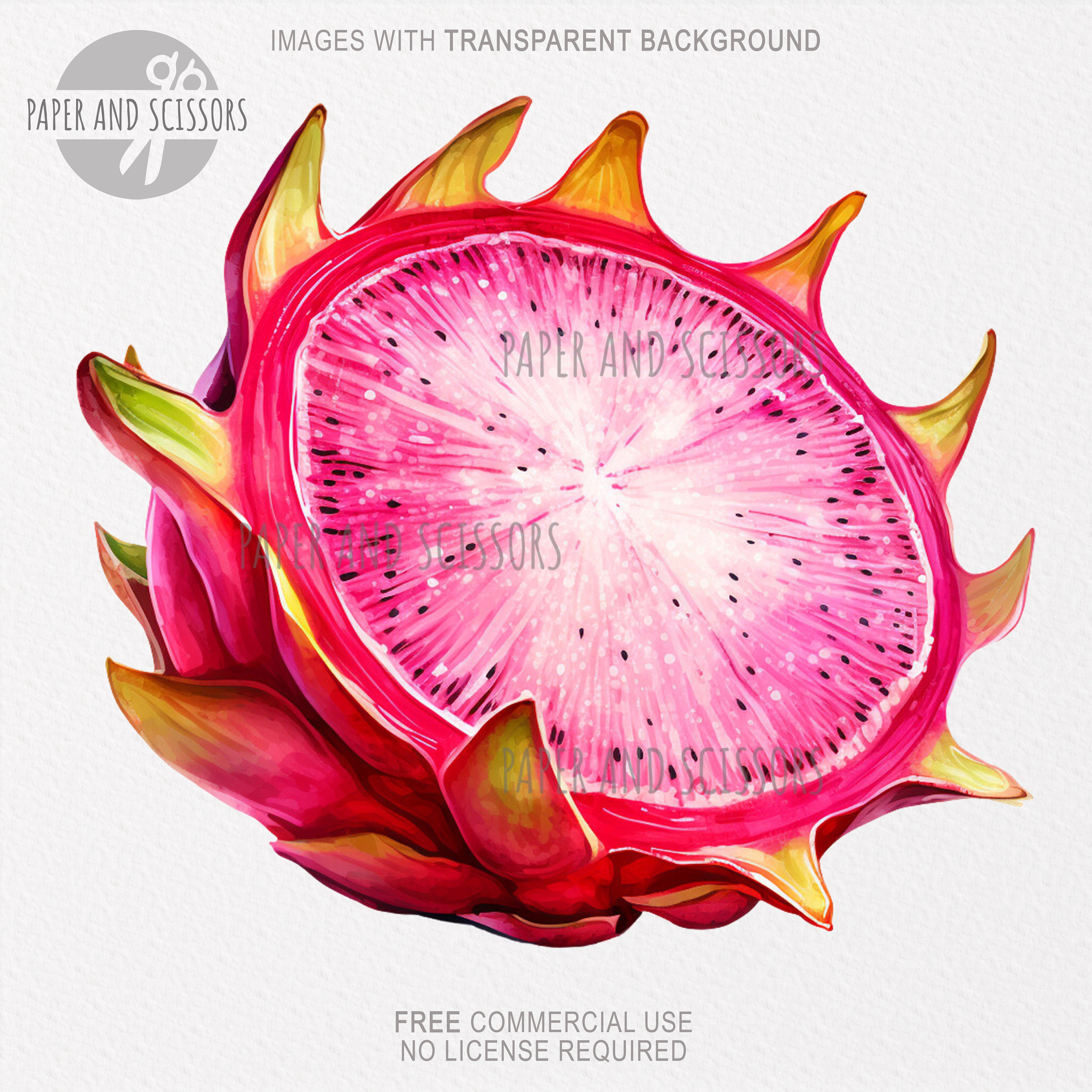 25 Fruit Slices Clipart, Fruit PNG, Fruit Illustration, Watercolor ...