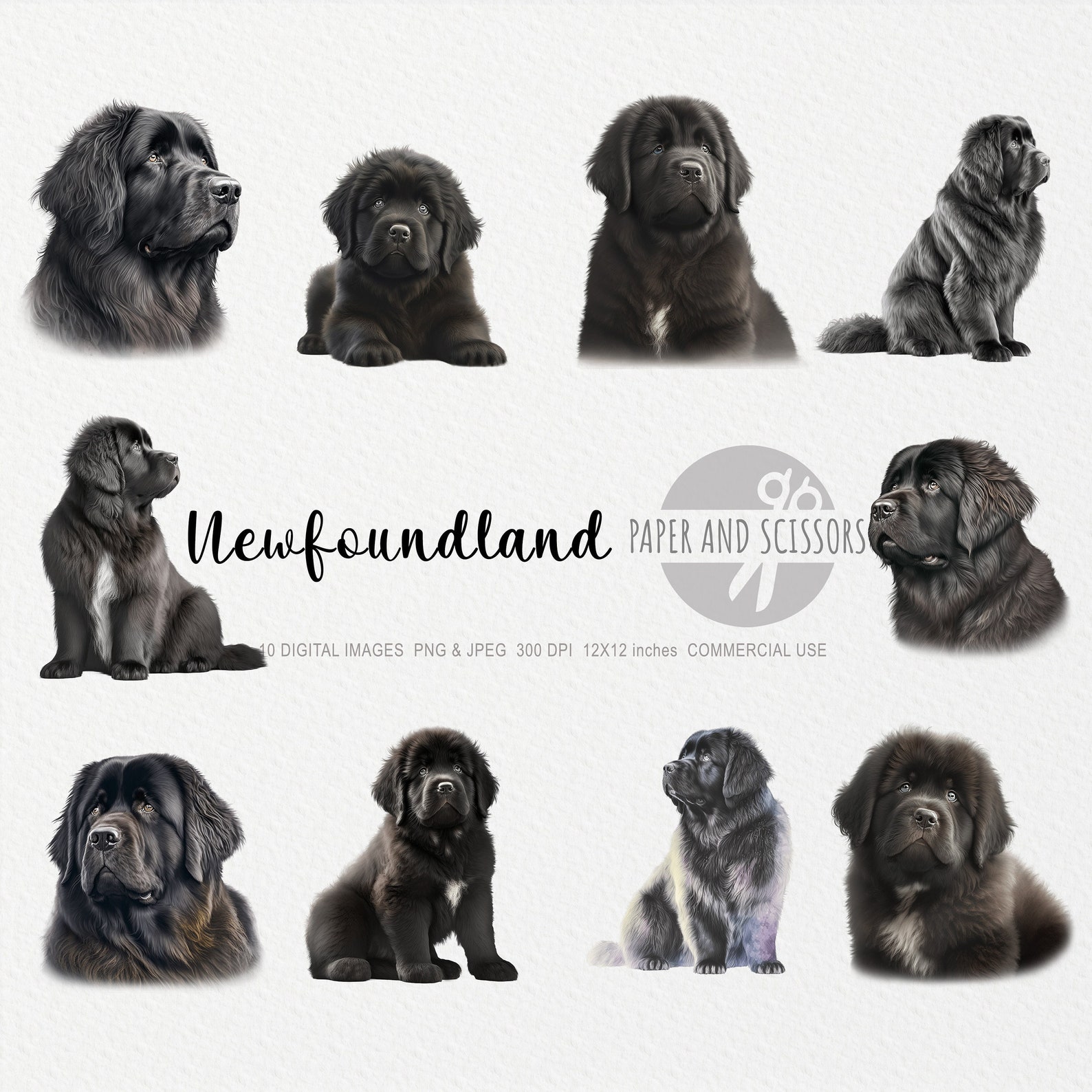 Newfoundland Clipart, Newfoundland PNG, Dog Illustration, Dog Clipart ...