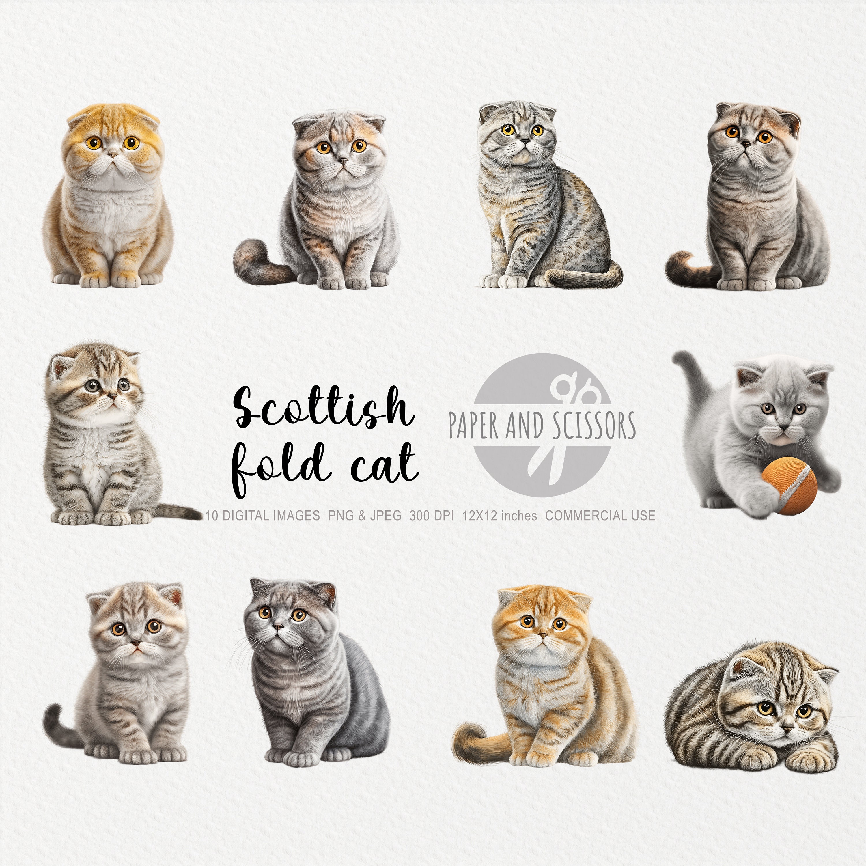Scottish Fold Cat Clipart Cat PNG Cat Illustration Cat - Etsy Canada