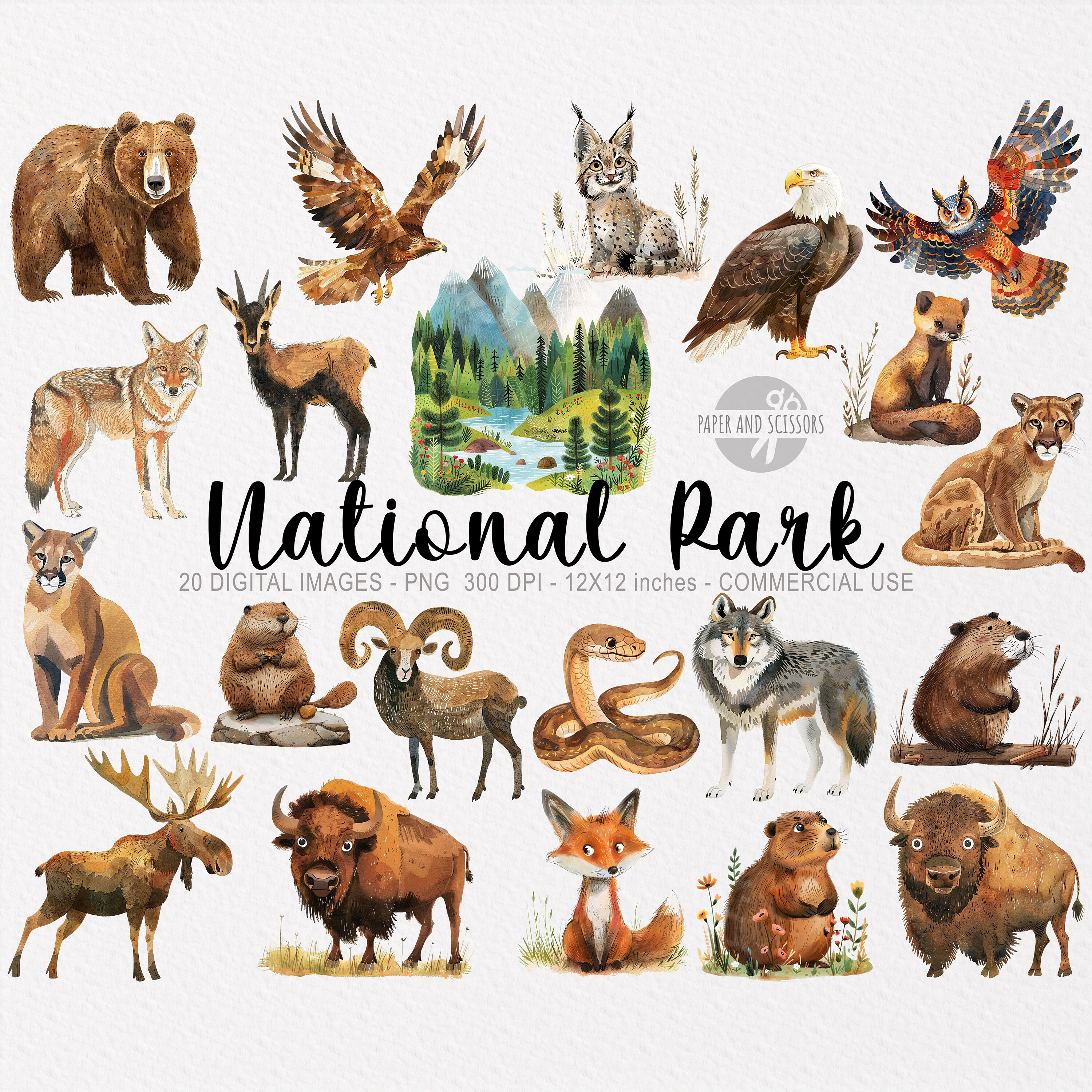 20 National Park Animals Cliparts, Woodlandwatercolor PNG, Baby Shower ...