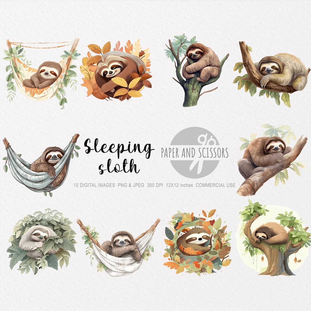Sleeping Sloth Clipart, Sloth PNG, Sloth Illustration, Sloth Cutout ...