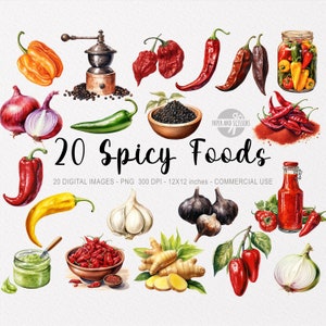 20 Spicy Clipart PNG, Hot Food Illustration, Watercolor Spicy Foods ...