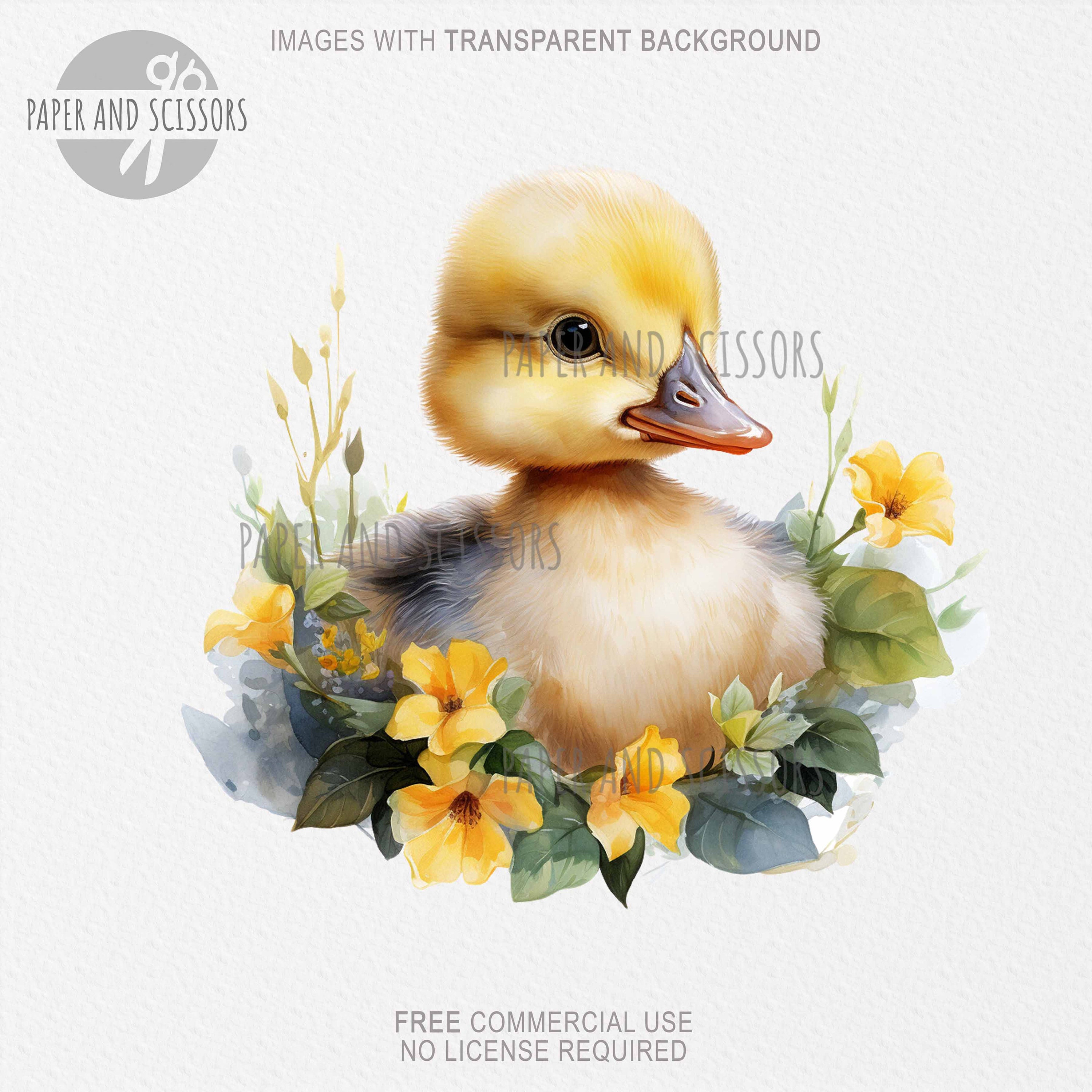 10 Spring Duckling Cliparts, Cute Duck PNG, Easter Illustration ...