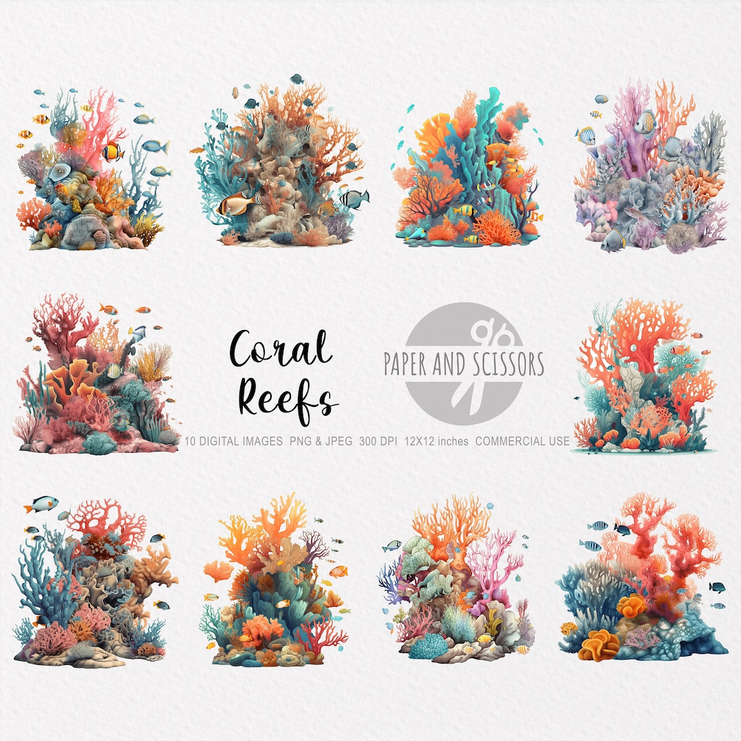 Coral Reefs Clipart Coral Reefs Png Coral Illustration Coral Clipart