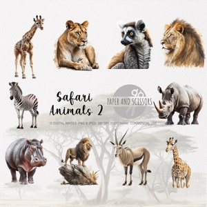 Safari Animals Clipart, Safari Animals PNG, Animals Illustration ...